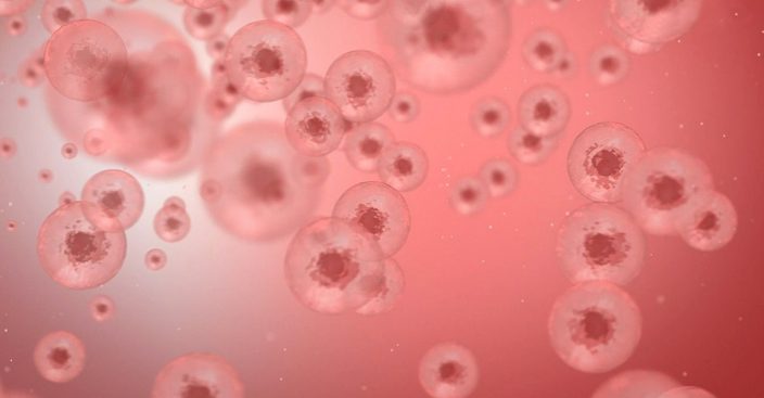 Cryogenic Storage and Preservation | CoolCell | Corning